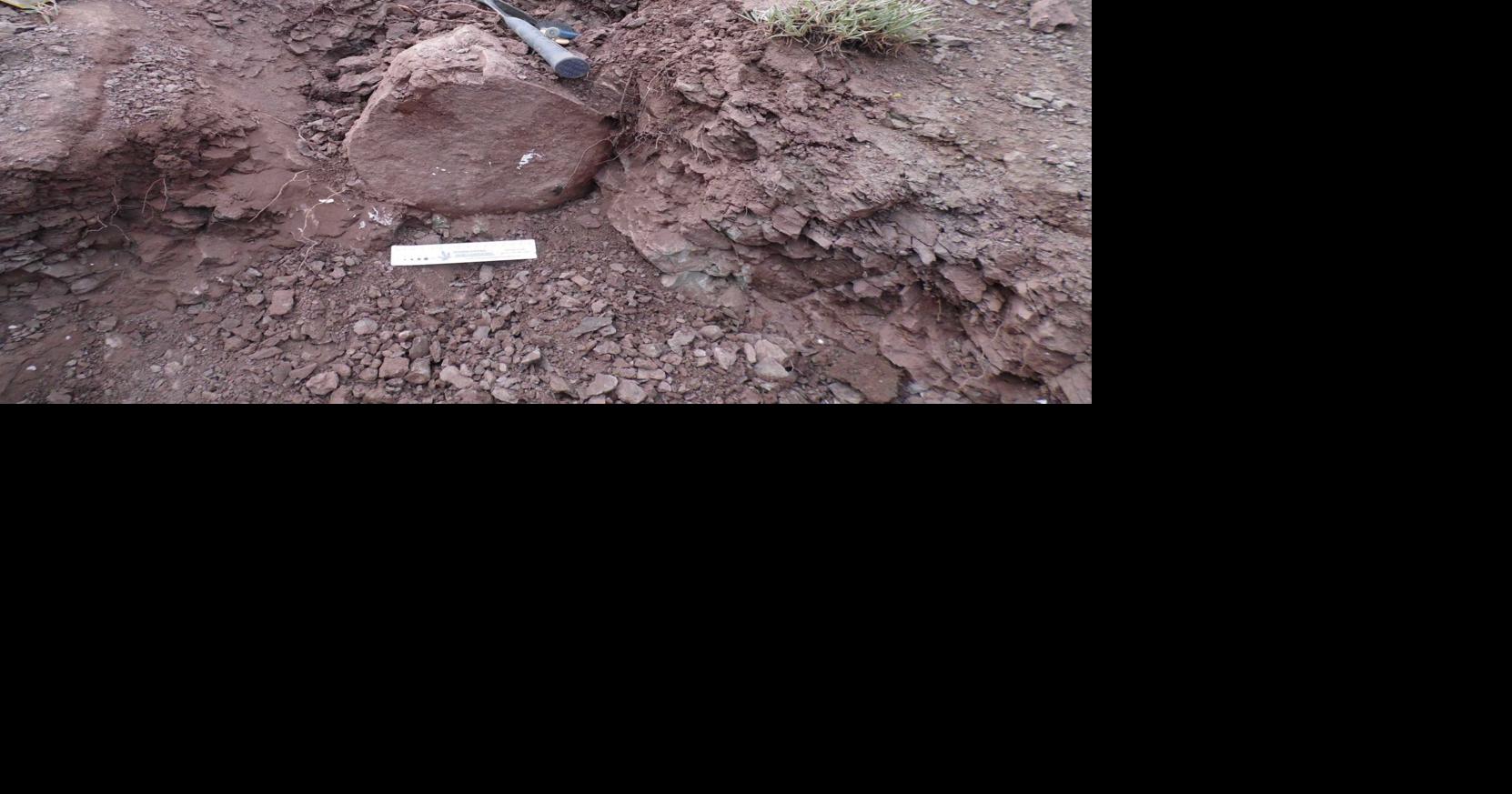 Idaho State University researcher discovers first Idaho dinosaur burrow ...