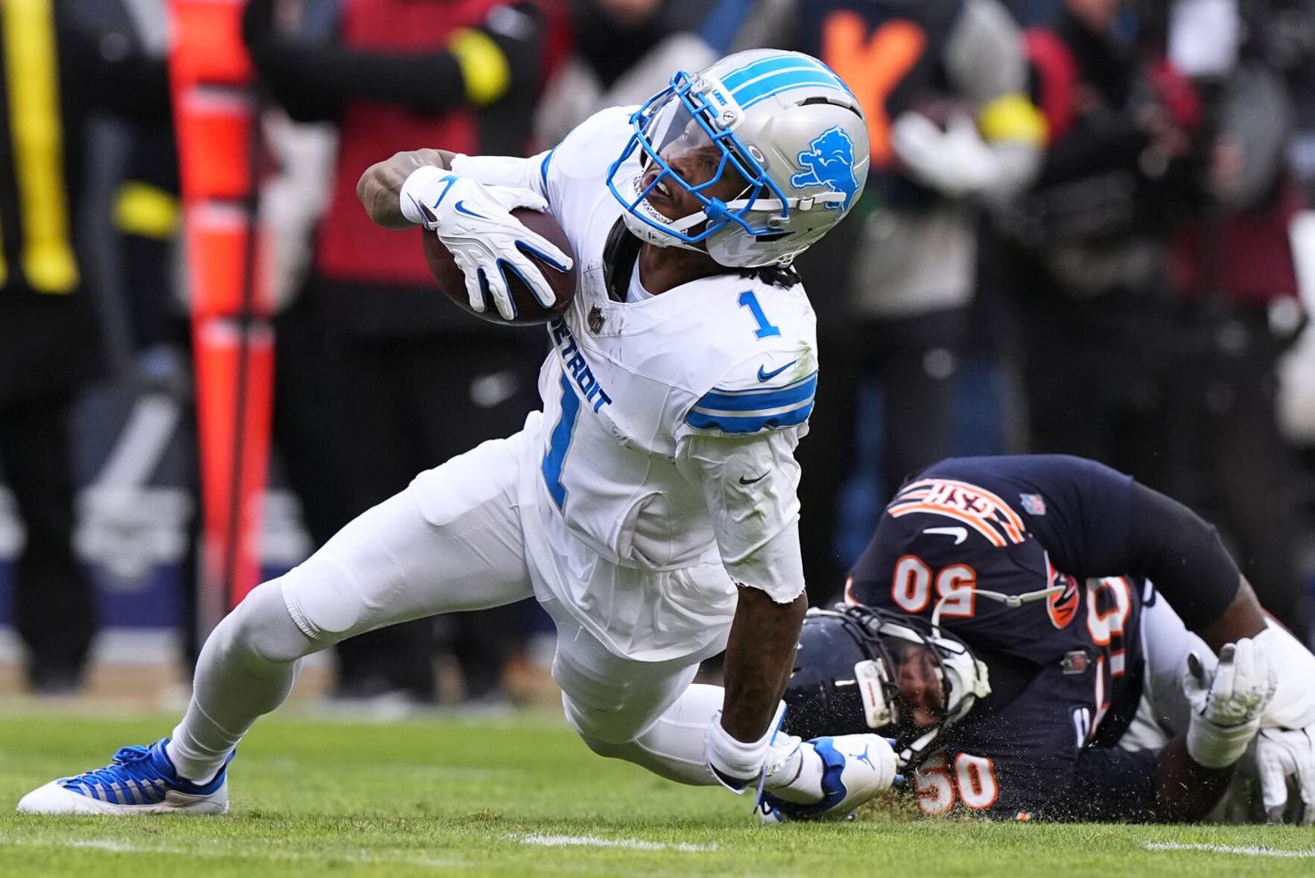 Lions Bears Football | National | idahostatejournal.com