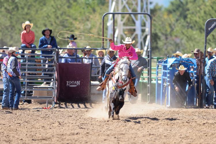 Photos of the Jr. High State Rodeo at the Bannock County Event Center ...