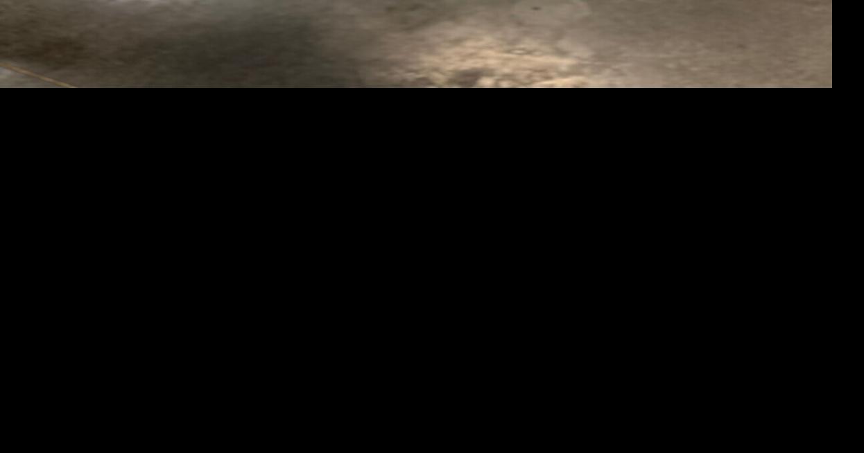 Snake River Animal Shelter to host 36-hour Adopt-a-Thon | Local ...