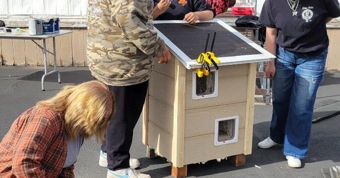 Independence High School students build cat homes for Bingham County ...