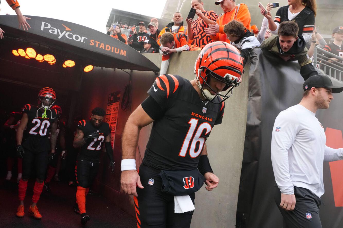 Cardinals Bengals Football | National | idahostatejournal.com