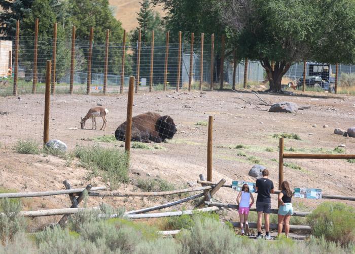 PHOTO GALLERY: Free Zoo Day at Zoo Idaho in Pocatello | Freeaccess ...