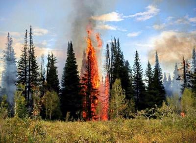 Black Mountain Fire has burned 1,200 acres, at 4% containment ...