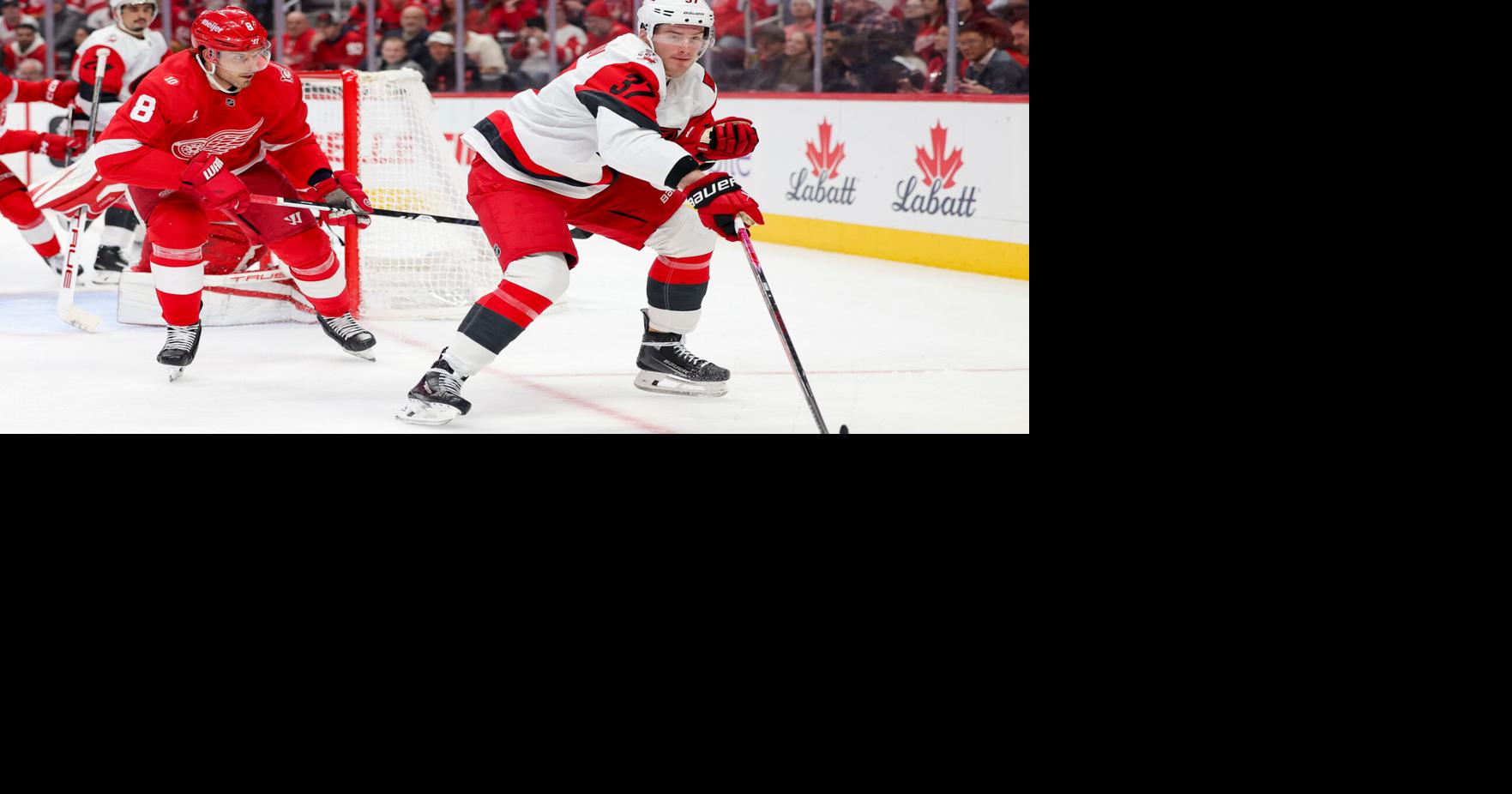 Hurricanes Red Wings Hockey | National | idahostatejournal.com