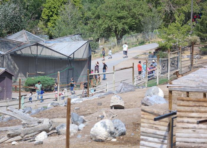PHOTO GALLERY: Free Zoo Day at Zoo Idaho in Pocatello | Freeaccess ...