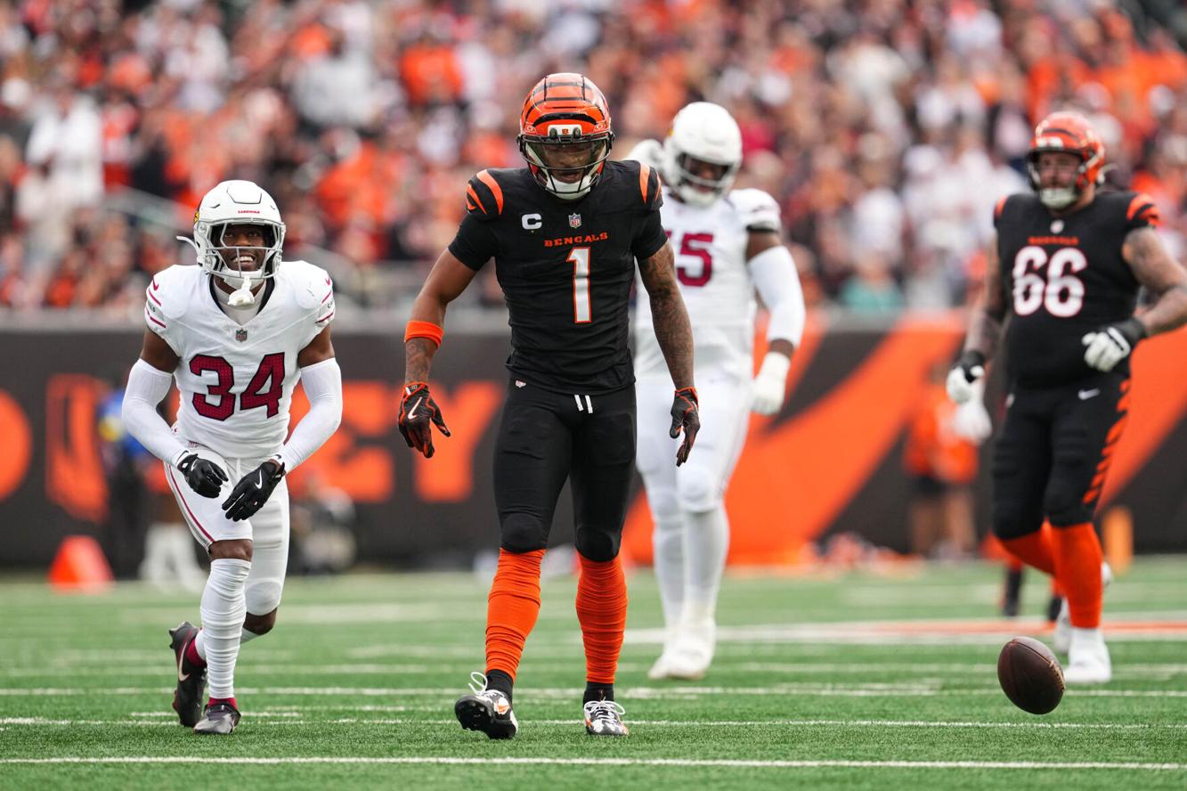 Cardinals Bengals Football | National | idahostatejournal.com
