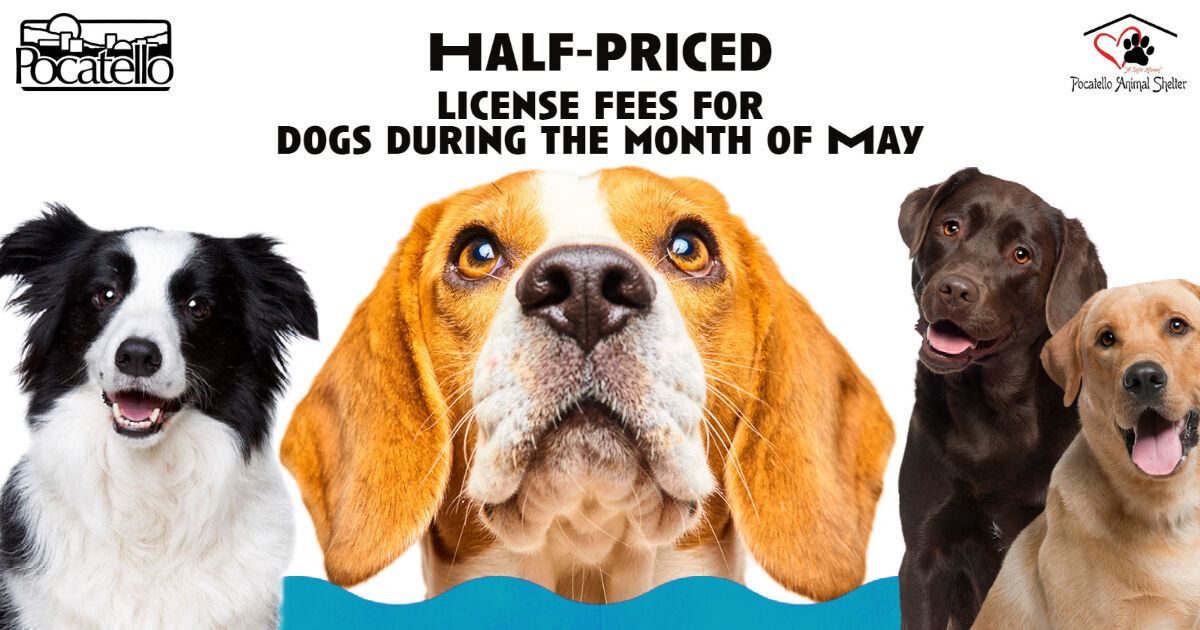 How Much Is A License To Breed Dogs