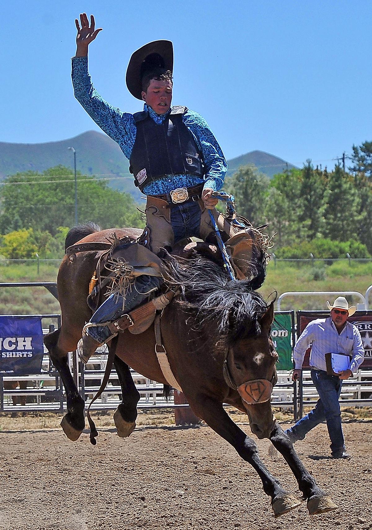 HS rodeo: On to nationals — Idaho’s best cowboys and cowgirls fulfill ...
