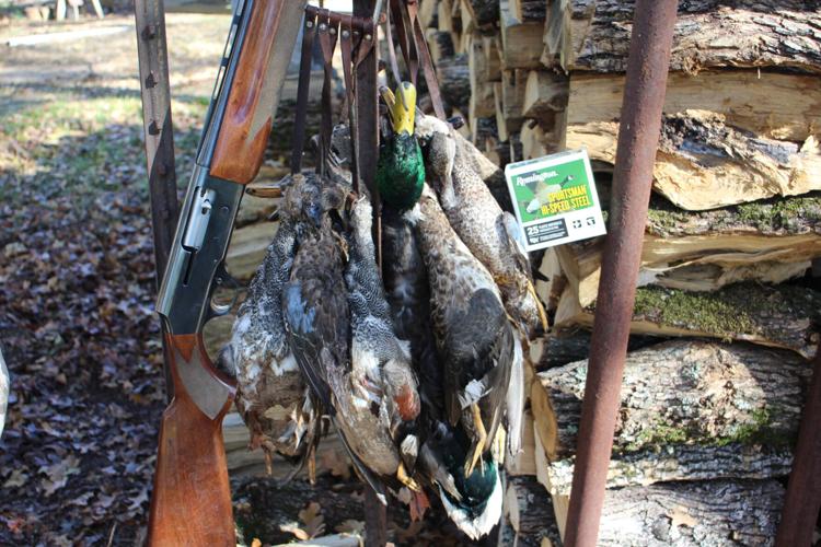 Claycomb: Texas duck hunt | Northwest | idahostatejournal.com