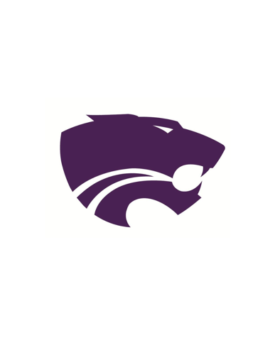 PREP ROUNDUP: Snake River softball slips by Soda Springs in ...