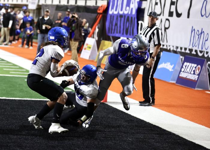 Bear Lake captures 2A title with 14-6 win over Firth | Preps ...