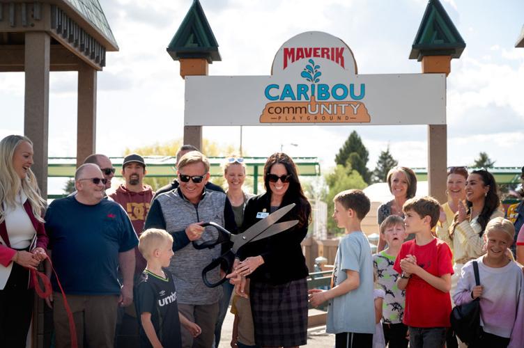 Friends of Soda Springs Park celebrate shade project completion | Local ...
