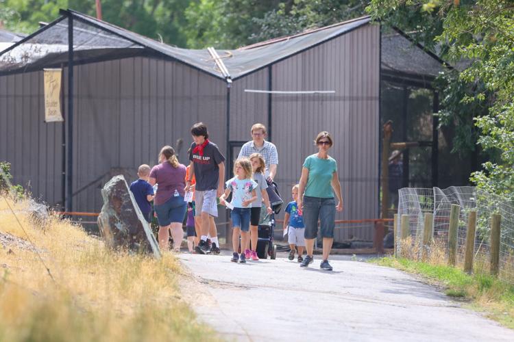 PHOTO GALLERY: Free Zoo Day at Zoo Idaho in Pocatello | Freeaccess ...
