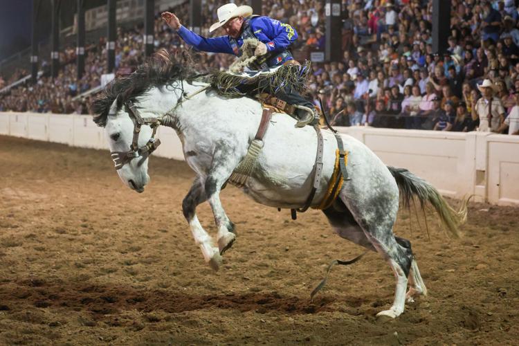 More photos of the Gem State Classic Rodeo at the Eastern Idaho State ...