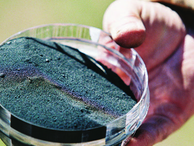 Farmers use ash to melt snow | Local | idahostatejournal.com