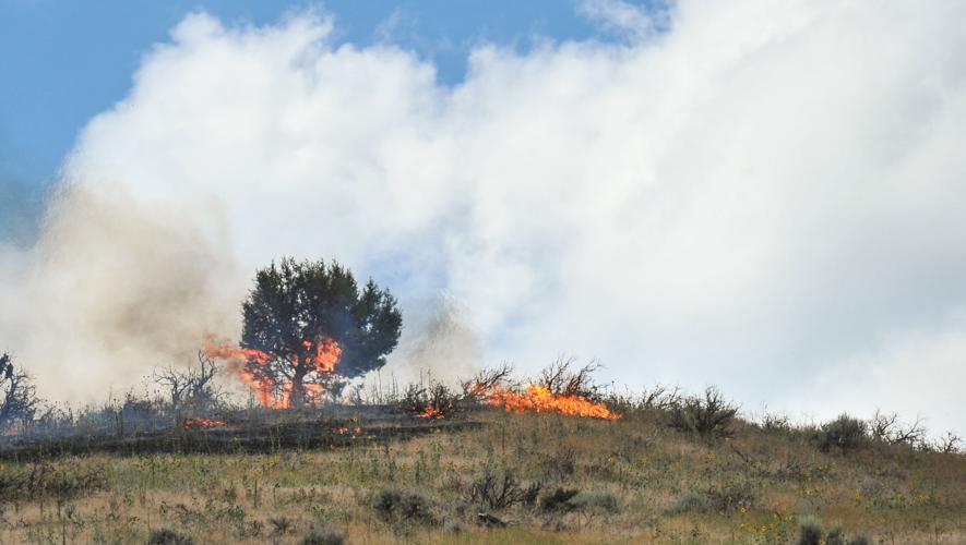 Lightning fire at Black Rock Canyon | News | idahostatejournal.com