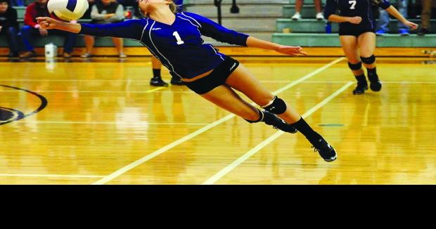 Player of the year: Kayla Ellis — Century sophomore helped lead ...