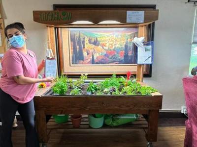 Seattle company plants indoor gardens at local assisted living facility ...