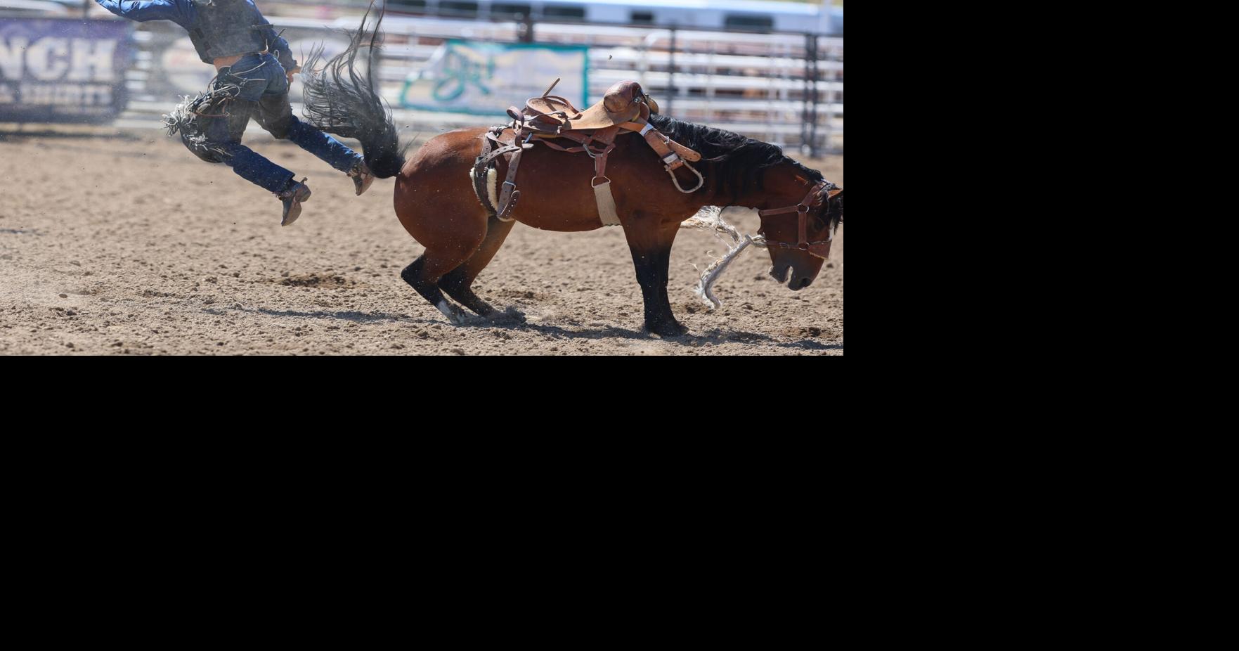 Photos of Idaho High School Rodeo Finals in Pocatello | High School ...