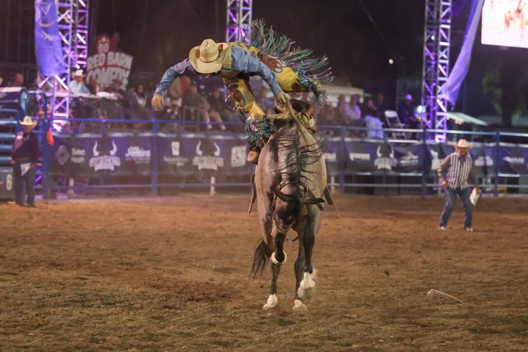 More photos of the Gem State Classic Rodeo at the Eastern Idaho State ...