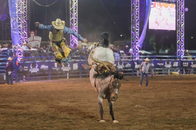 More photos of the Gem State Classic Rodeo at the Eastern Idaho State ...