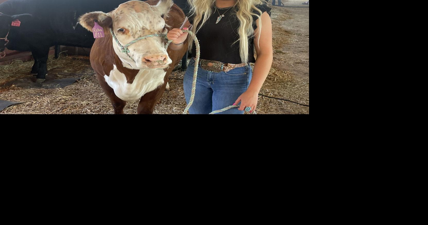 Fair Rewards: Bingham County 4-H fair is crowning moment for Blackfoot ...