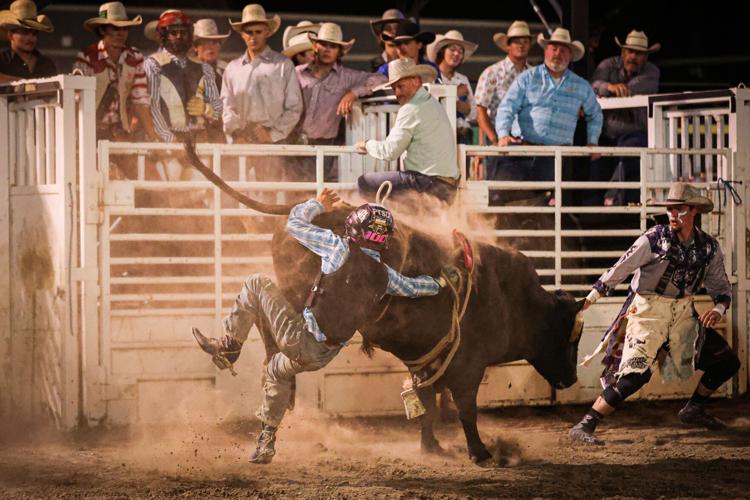Eastern Idaho State Fair Photo Gallery | Freeaccess | idahostatejournal.com