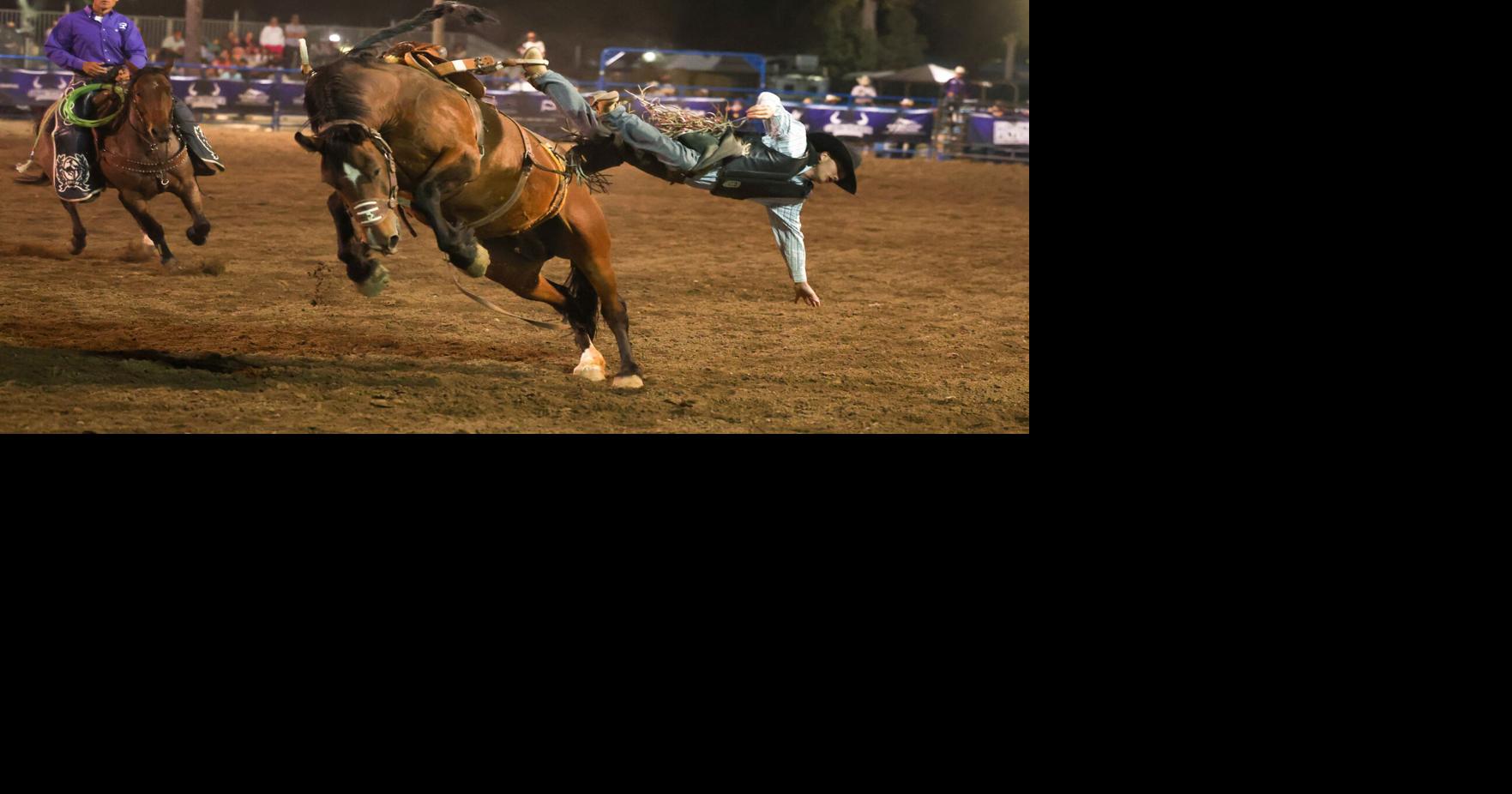 More photos of the Gem State Classic Rodeo at the Eastern Idaho State ...