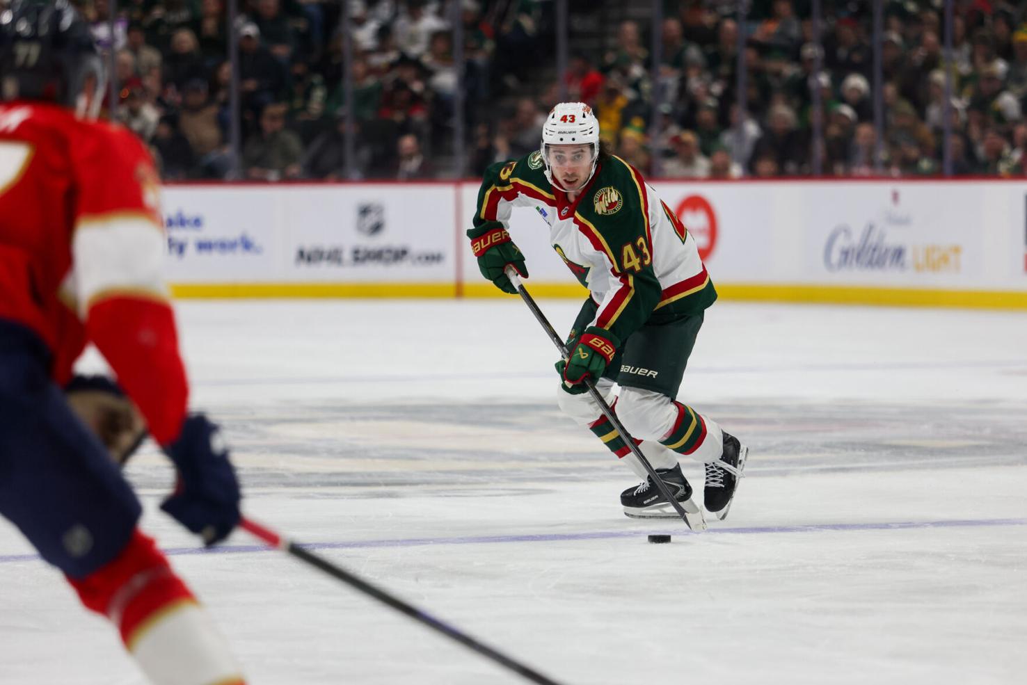 Wild Panthers Hockey | National | idahostatejournal.com