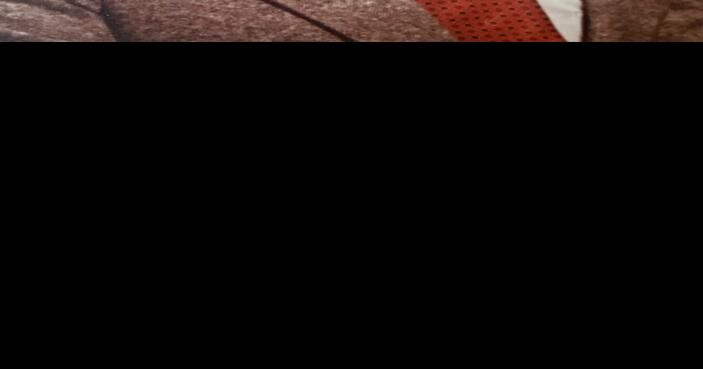 'POCATELLO'S OWN EINSTEIN': Celebration of life planned for renowned ...