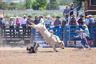 SADDLE UP: Best of the best in Idaho high school rodeo competing this ...
