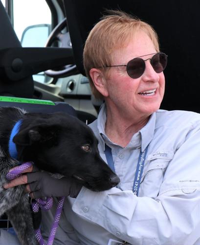 Local rescue groups partner with air transport service to save more ...