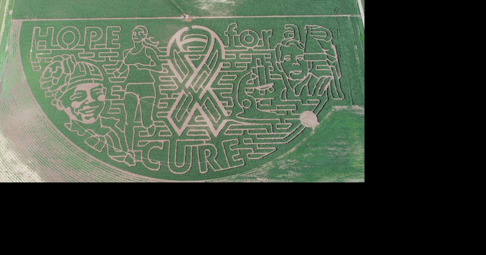 Wild Adventure Corn Maze opens in East Idaho | Local ...