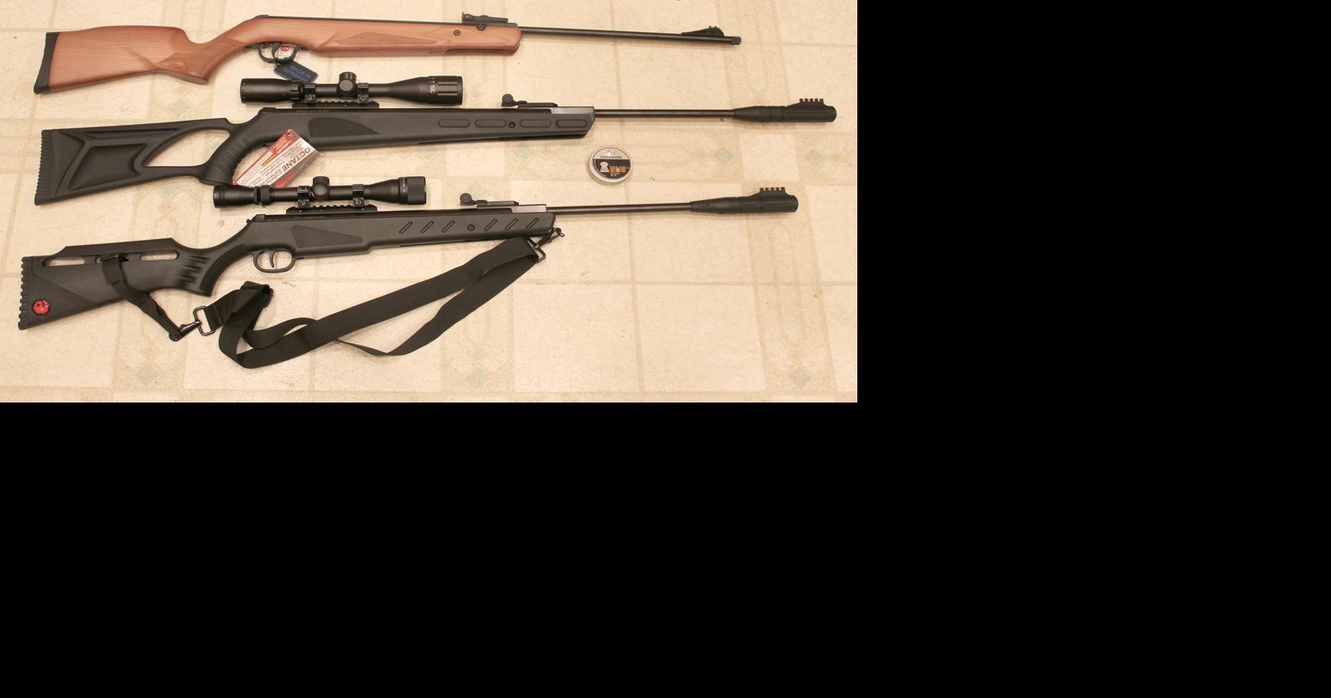 The best guns for whistle pig hunting | | idahostatejournal.com