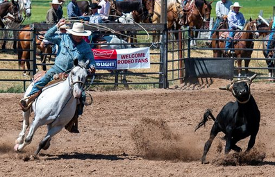 Boy recovering from fractured skull following Bancroft rodeo accident ...