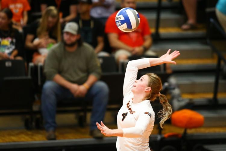 Fifth-year Bengals find volleyball is fun again | Sports ...
