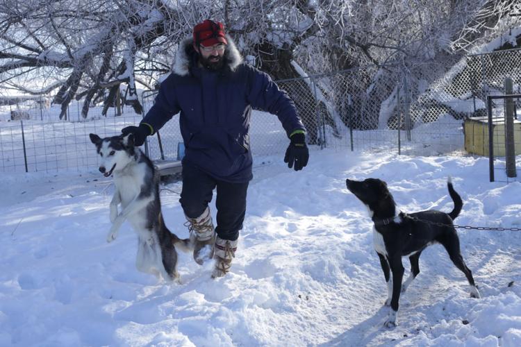 Dogsledding: Silver Sage Mushing preserves an ancient mode of ...