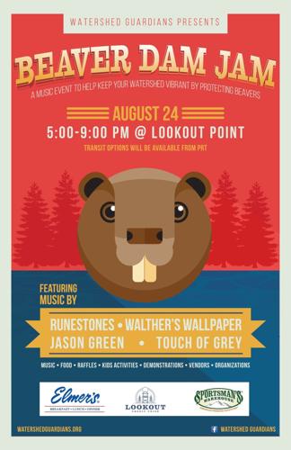 Annual Beaver Dam Jam Idaho set Aug. 24 to benefit Watershed Guardians | Community ...
