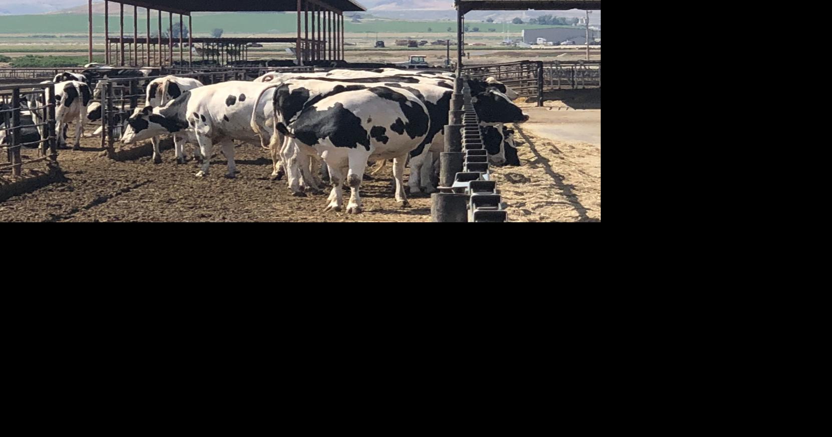 ISDA plans $10 million lab | Local | idahostatejournal.com