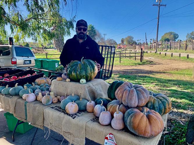 Community Garden In The River Valley Is A Peaceful Oasis | News ...