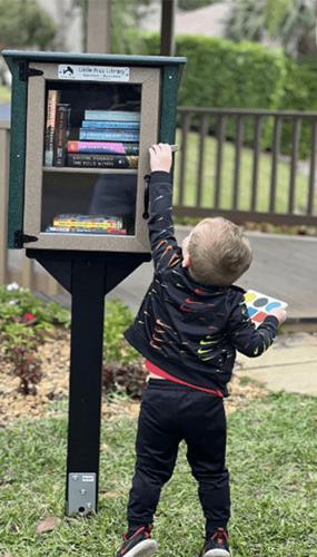 IB FOL And Local Little Free Libraries | News | imperialbeachnewsca.com