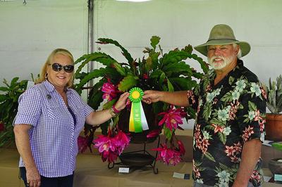 Local Couple Wins Best Of Show At The 90th Annual Coronado Flower Show ...