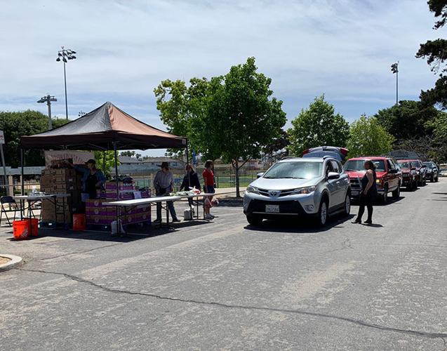 I Love To Glean/South County Food Hub Holds Its First Food Distribution ...