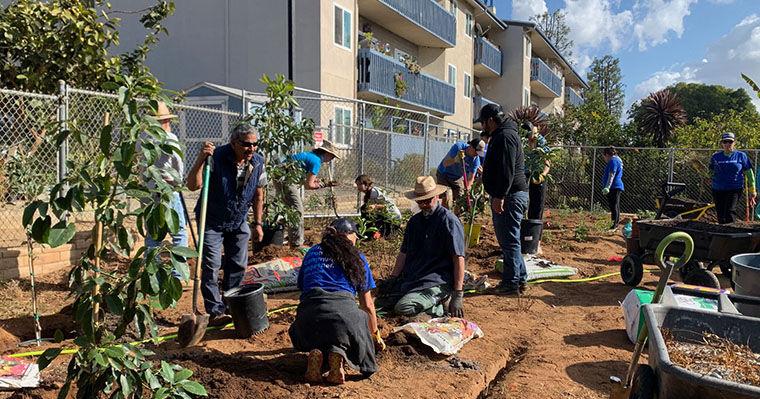 IB Community Garden Build Day ... | News | imperialbeachnewsca.com