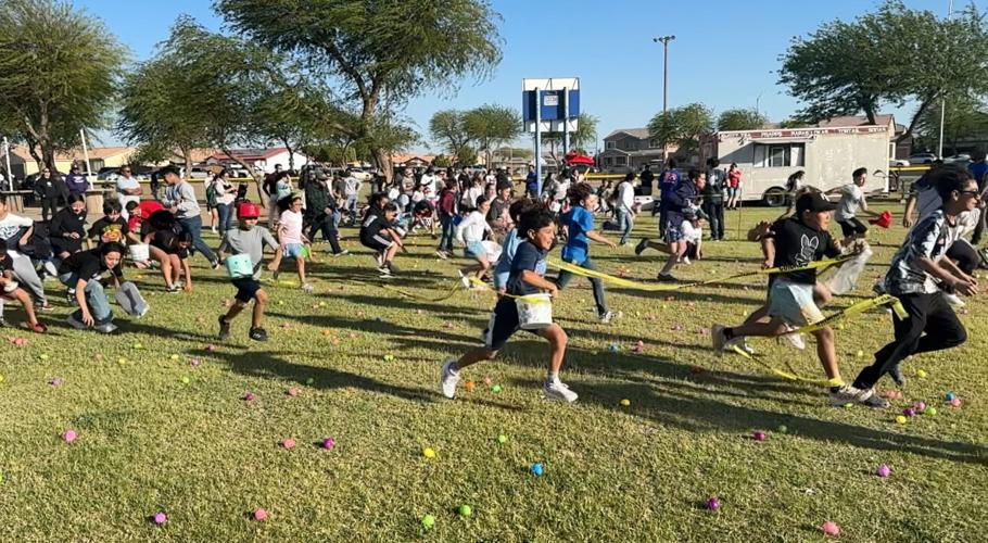 ‘Stampede of happy children’ collect 6,000 eggs at Heber hunt | News ...