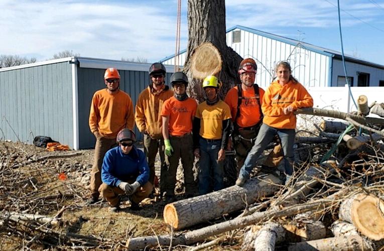 Entrepreneurs on the Homefront: Heser Tree Service serves people and ...