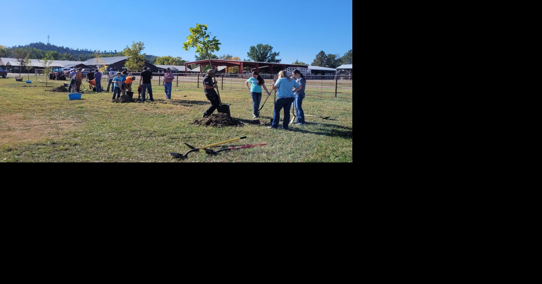 Volunteers plant trees at Rosebud-Treasure County Fairgrounds | News ...