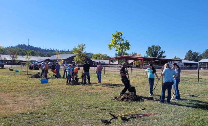 Volunteers plant trees at Rosebud-Treasure County Fairgrounds | News ...
