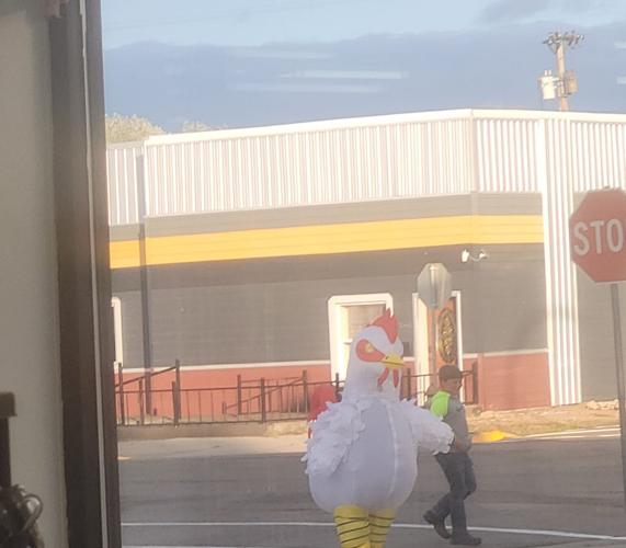 Why the chicken crossed the road: Miles City boys entertain with ...